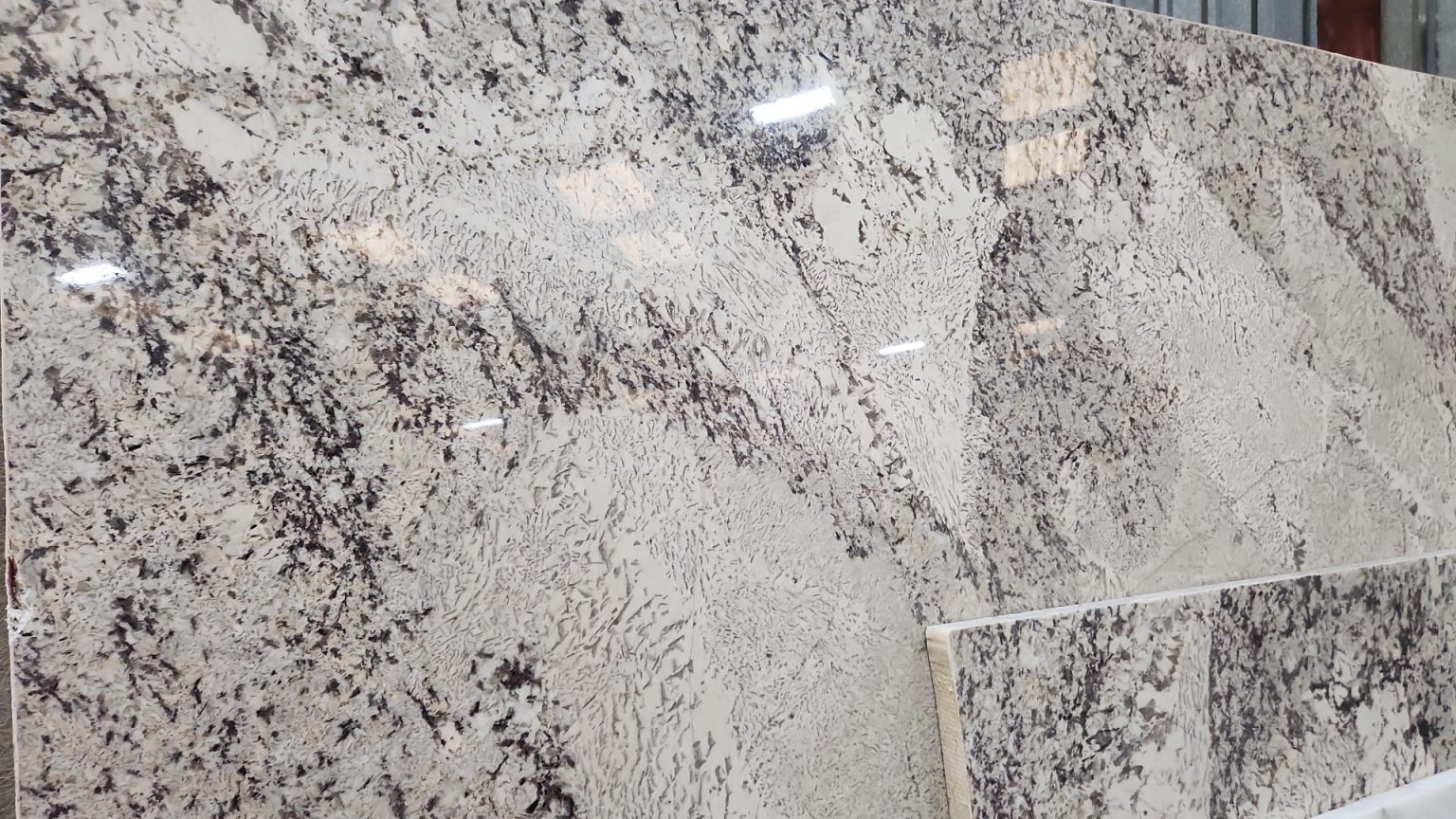 Splendor white - Avigna Granite World of Jacksonville FL